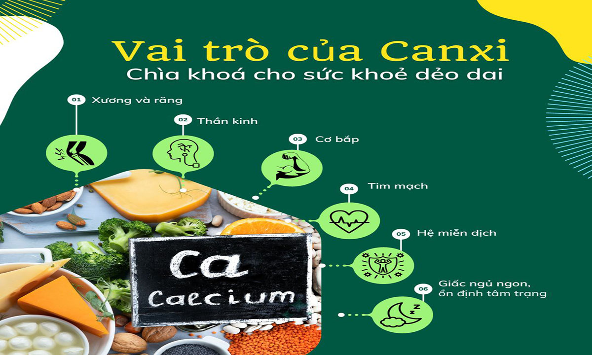 Canxi là gì? Tìm hiểu về các loại canxi và vai trò của nó với cơ thể